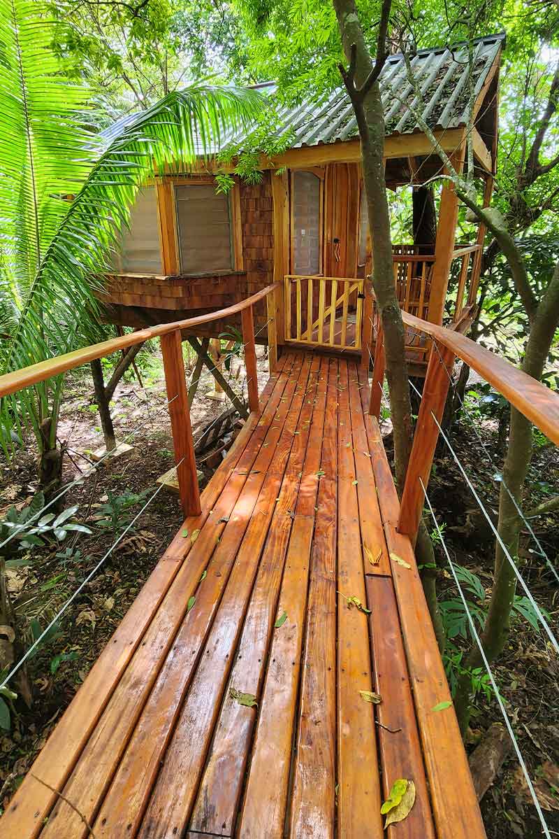 Tukulolo Grounds | Tongan Treehouse Resort