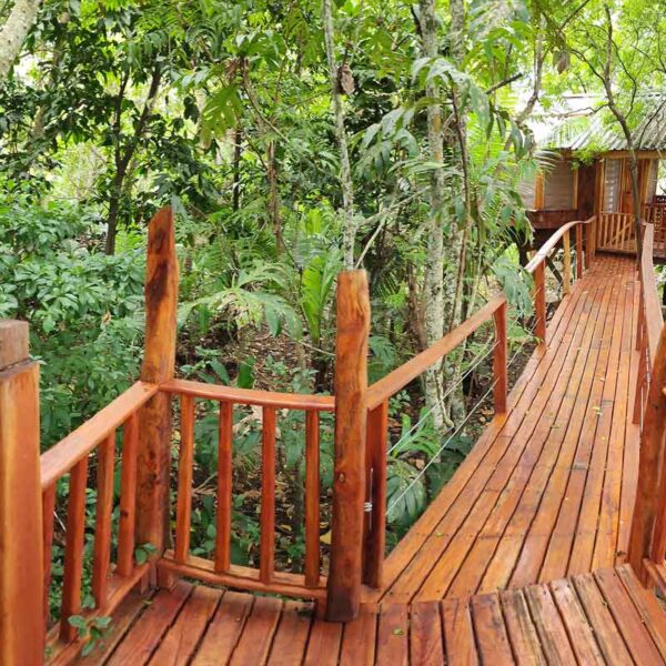 Sky View Treehouse - Tukulolo Grounds | Tongan Treehouse Resort