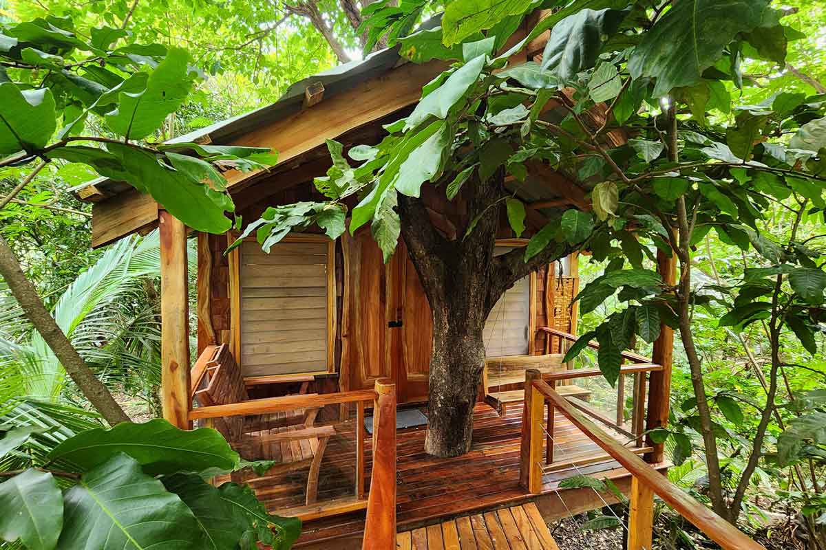 Cozy Canopy Treehouse | Unique Lodging at Tukulolo Grounds