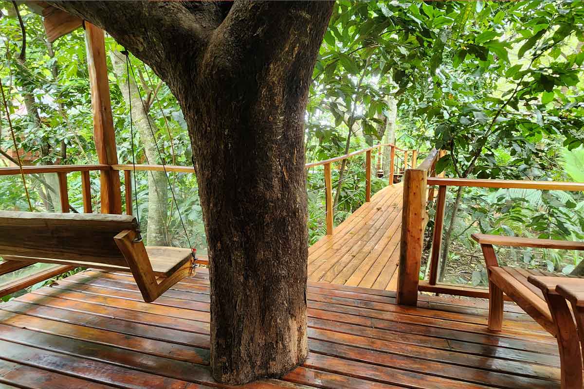 Cozy Canopy Treehouse | Unique Lodging at Tukulolo Grounds